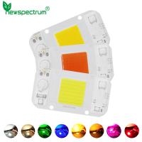 China Driverless AC COB Led Chip 50w Size 40mm For DIY Floodlight Grow Light for sale