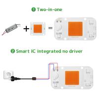 China 5000k Driverless LED COB Chip Size 25mm AC 110V LED Street Module for sale