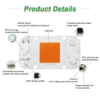 China 5000k Driverless LED COB Chip Size 25mm AC 110V LED Street Module for sale