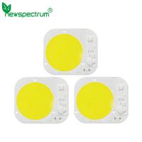 China 20W 5000LM Cob Flip Chip Led 30W 50W For Spotlights Grow Lights Led Cob Chip for sale