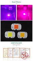 China 230V UV LED Module Full Spectrum Smart IC COB LED Chip For Indoor for sale