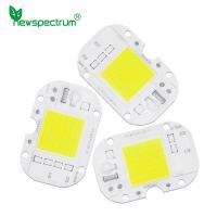 China Customized Brightness Chip LED COB Module Driverless Lamp Beads For Foold Light for sale