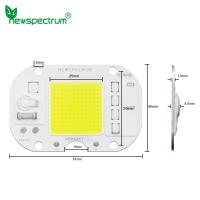 China Customized Brightness Chip LED COB Module Driverless Lamp Beads For Foold Light for sale