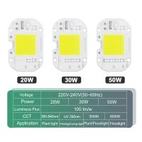 China Customized Brightness Chip LED COB Module Driverless Lamp Beads For Foold Light for sale
