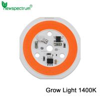 China Driverless LED COB Chip High Brightness 240V Warm White Led Module for sale