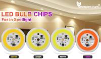 China 220V COB LED Module Driverless High Brightness Warm White Led Module for sale
