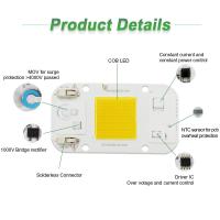 China 3000K 6000K AC COB LED Power 10W 20W 240V Warm Rgb LED Module for sale