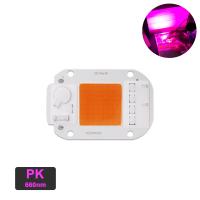 China Driverless COB LED Module COB Chip Power 30W Led Grow Light Chip for sale