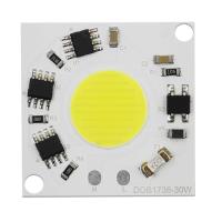 China Light Emitting Surface Chip Cob Led High Power 20w 30w For Spot Light for sale