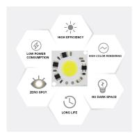 China COB 220V LED Module Cold White 30w Cob Led For Outdoor LED Bulb for sale