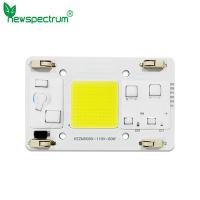 China No Need Driver COB LED Grow Chip Size 50mm For Flower Seedling Plant Light for sale