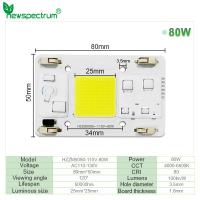 China No Need Driver COB LED Grow Chip Size 50mm For Flower Seedling Plant Light for sale
