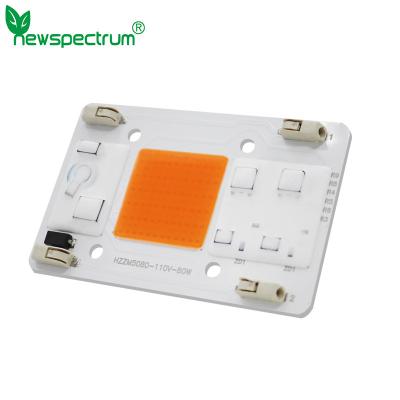 China Solderless Led Lamp Beads AC COB 80W Integrated Projection Light Chip for sale