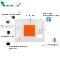 China 3000lm COB LED Module COB Chip 50Watt 6000K For Commercial Lighting Solutions for sale