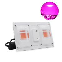 China Energy Saving Full Spectrum Led Grow Lights Board 50W Voltage 110V for sale