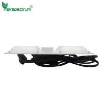 China 110V 220V White Light Bar Module COB LED Chip For Indoor Outdoor Use for sale