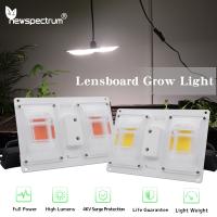 China 110V 220V White Light Bar Module COB LED Chip For Indoor Outdoor Use for sale