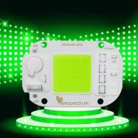 China 20W COB LED Module Size 40mm COB LED Chip For Light Floodlight Chip for sale