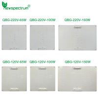 China 100W LED Quantum Board Full Spectrum LED Growth Light For Indoor Greenhouse for sale