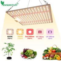 China LED Grow Light Full Spectrum Samsung LM281B 65W Grow Lights for Plants Flowers Hydroponic Indoor Grow Tent Phyto Lamp for sale