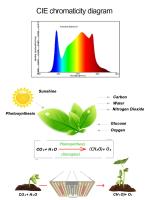 China 65w 100w Led Plant Light Switch Control For Flower And Vegetable Growth for sale