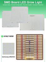 China Full Power 100W Horticulture SMD Chip 3000K For Greenhouse Plants for sale