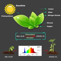 China 150W 65 Watt Plant Light Growth Phyto Lamp For Greenhouse Plants for sale