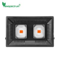 China AC 110V LED Cob Grow Lights Module For Hydroponic Outdoor Greenhouse for sale