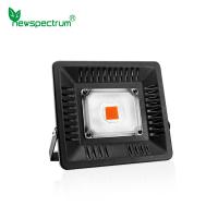China 100w Led Cob Grow Lights Phytolamp Full Spectrum No Noise No Fan for sale