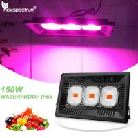 China Full Spectrum Light Bar Module 150W IP65 Waterproof LED Grow Light for sale