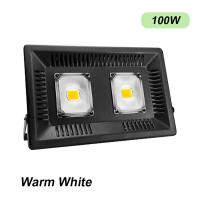 China AC 110V LED Cob Grow Lights Module For Hydroponic Outdoor Greenhouse for sale