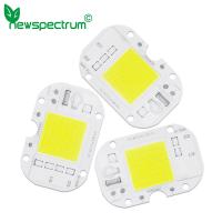 China Two Welding Methods Chip Led Cob 50w Driverless Lamp Beads For Grow Light for sale