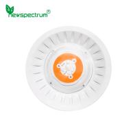 China 40W Light Bar Module AC110V 220V COB LED Chip For Indoor Greenhouse Plants for sale
