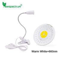 China 40W Light Bar Module AC110V 220V COB LED Chip For Indoor Greenhouse Plants for sale