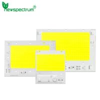 China 240V Dimming Cob LED Chip 6000K With AC100-240V Voltage 50000hrs Lifespan for sale