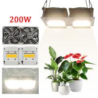 China Light Bar Module COB Plant Light with Built-in Fan Cooling System for Home Gardeners and Greenhouse Growers for sale
