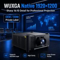 China Edge Blending 25000 Lumens 3D Mapping Projector 3LCD Laser WUXGA Dual Color Display for sale