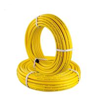 China Gas Transportation SS 304 Flexible Hose , DN25 Stainless Steel Gas Pipe for sale