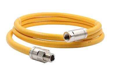China Explosion Proof 20 Foot Natural Gas Hose , Gas Safety Hose Pipe DN13 for sale
