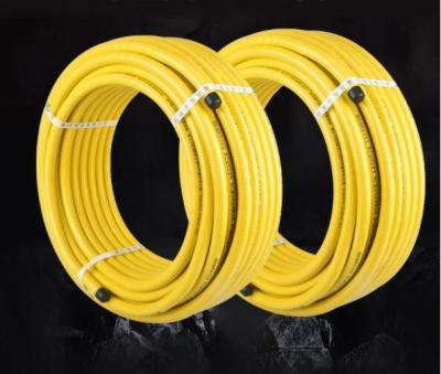 China US Standard Flexible Stainless Steel Gas Pipe DN10 GB/T 26002-2010 for sale