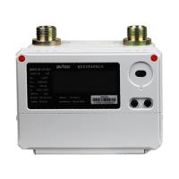 China Ultrasonic Electronic Domestic Gas Meters 6m3/h with Accurate Sensor for sale