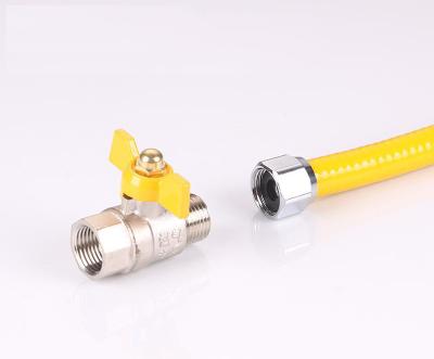 China Fire Pit Water Heater Gas Hose DN15 0.2MPa for connecting gas stove for sale