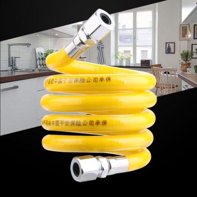 China SS304 SS316L Grill Natural Gas Hose , Gas Hose For Water Heater Flexible  DN20 for sale