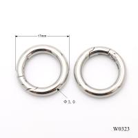 China 10mm 316 Stainless Steel Spring Ring Carabiner Keychain Accessories 3x17mm for sale