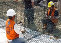 China Galvanized Gabion Basket 2-6m Length with 80x100mm Mesh and 245-265g/m² Zinc Coating for sale