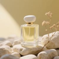 China Professional Spray Closure Perfume Bottle Packaging For Glass Bottles for sale