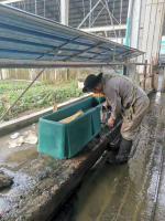 China Thermal 400L Cattle Water Drinkers 4m Plastic Water Trough for sale