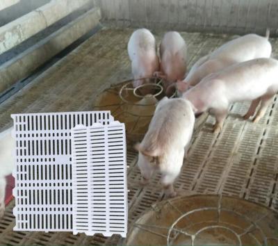 China Goat 300kgs Poultry Plastic Slat Floor 600x700mm PP Livestock for sale