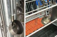China Stainless Steel Hog Waterer Pig Feeders and Drinkers Pig Water Drinkers for sale