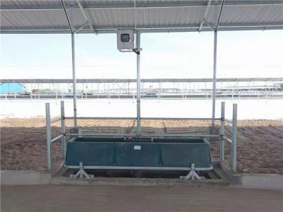 China 1.8m Large Plastic Water Trough Sheep Animal Husbandry Equipment for sale